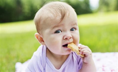 ბავშვის კვება 6 8 თვის ასაკში პროდუქტების სია და კვების ცხრილი მშობლები