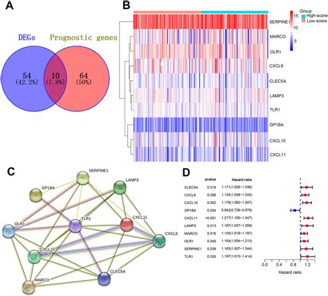Identification Of Candidate Of Inflammatory Response Related Genes In