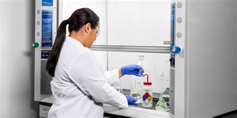 What Are Beakers Used For Explore Lab Glassware