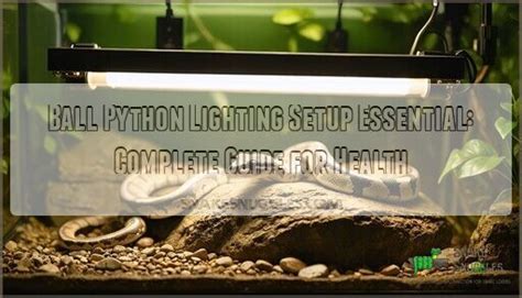 Ball Python Humidity Levels Explained Complete Care Guide 2025