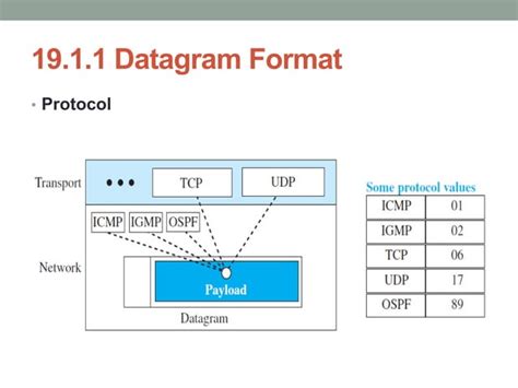 19 Network Layer Protocols Pptx