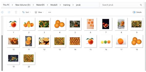 Purwadhika Penerapan Cnn Convolutional Neural Network Dalam