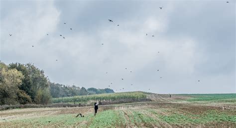 Gallery Oliver Davies Sporting