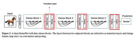 Pytorch DenseNet 구현