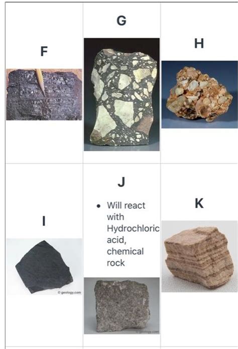 Solved Part 2 Interpreting Sedimentary Rocks And Structures