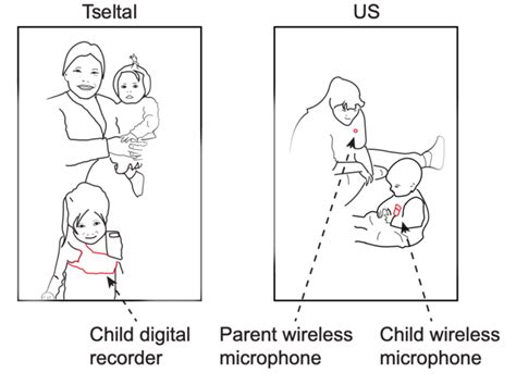 Recording Setup Across Sites Download Scientific Diagram