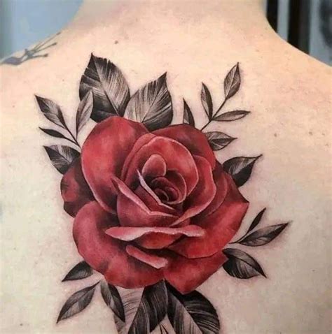 Nann And Nann Onlineshop