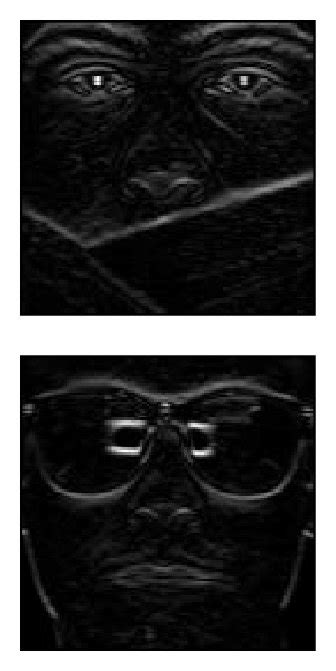 Illustration Of Our Occlusion Segmentation A Examples Of Faces Download Scientific Diagram