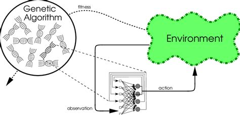Neuroevolution Each Chromosome Is Transformed Into A Neural Network