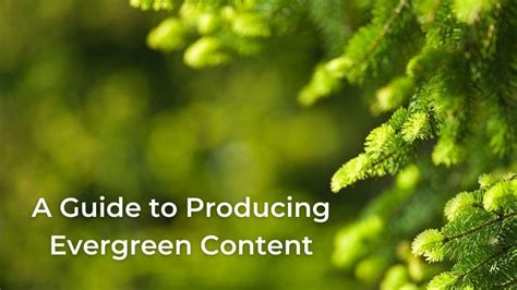 A Complete Guide To Producing Evergreen Content