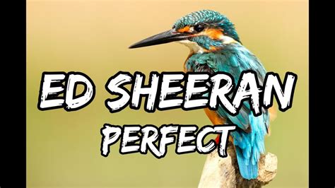 Ed Sheeran Perfect Lyrics Youtube Music Ed Sheeran Perfect Lyrics Youtube Music