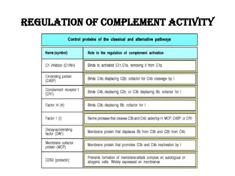 Complement System Kalpita Mulye Ppt Download