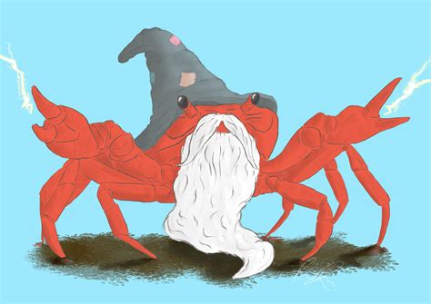 I The Crab Wizard Will Answer Your Questions So For A Limited Time