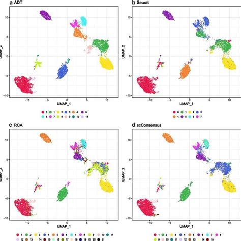 Adt Based Clustering Of The Pbmc Data Set Ad Umaps Anchored In De