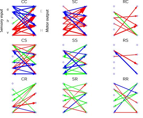 figure 2 from causal connectivity of evolved neural networks during