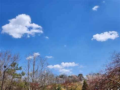 하늘과 구름이 너무 예쁘다 오마이포토