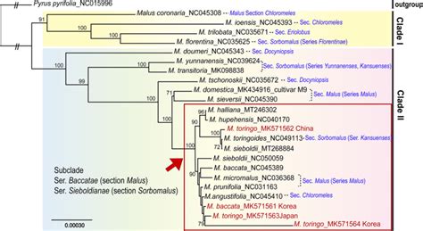 maximum likelihood tree inferred from 79 protein coding genes of 23
