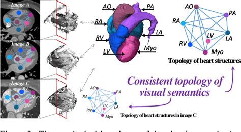 Figure 3 From Geometric Visual Similarity Learning In 3d Medical Image