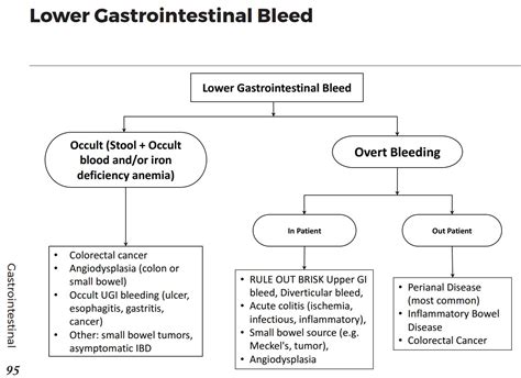 Occult And Lower Gastronintestinal Bleed Differential Grepmed