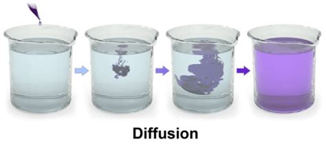 Difference Between Bulk Flow And Diffusion Compare The Difference Between Similar Terms