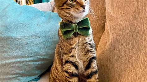 All Power Automate Text Functions With Examples All Power Automate Text Functions With Examples