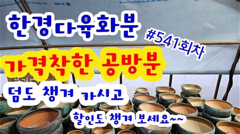 2024년 6월 7일541회차 저녁 영상 한경다육화분 수제공방분 공방분 다육화분 화분 다육이 다육식물 한경화분 야생화 아프리카식물 Youtube