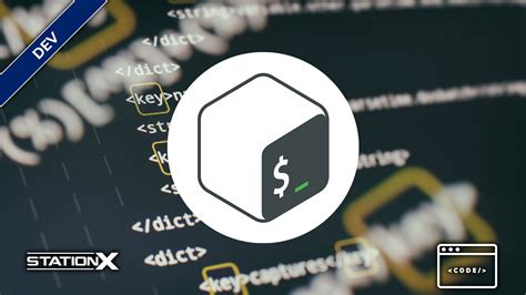 Best Online Coding Courses For Beginners In 2025