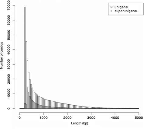Distribution Of Length Of Transcriptome Contigs Unigenes And