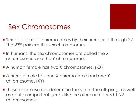 PPT Living Things Inherit Traits In Patterns PowerPoint Presentation ID