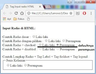 Membuat Input Radio Pada Form HTML Petunjuk Onlene