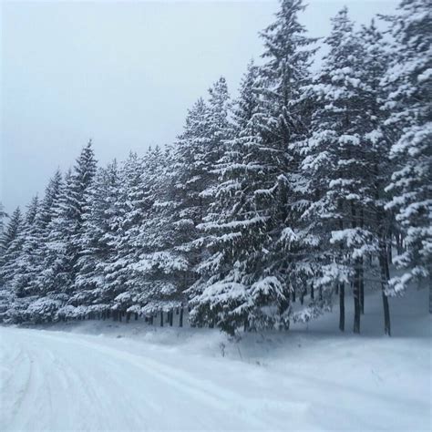 ბაკურიანი „ვილა ნაციონალი“