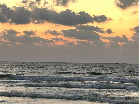 رقص شرقي Alexandria