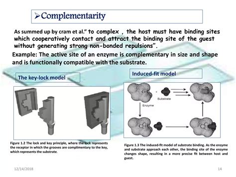 Supramolecular Host And Guest Design Ppt Pptx Chemistry Science