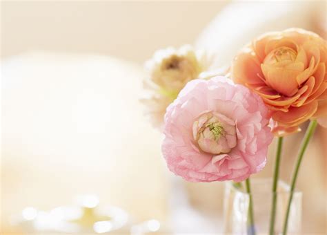 Открытки с днем рождения женщине красивые нежные 77 фото