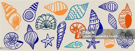 조개 껍질 손으로 그린 다채로운 세트입니다 여름 해변 조개 껍질 컬렉션 Vectotr 그림 가리비에 대한 스톡 벡터 아트 및 기타 이미지 Istock