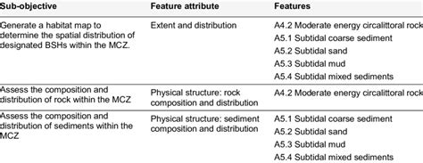 Survey Elements And Report Outputs Aligned With The Feature Attributes