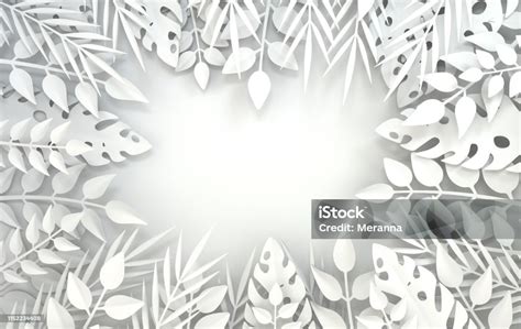 열 대 종이 팜 몬스 테라 나뭇잎 프레임 여름 열 대 잎 종이 접기 이국적인 하와이 정글 여름 배경입니다 종이 컷 스타일 3d