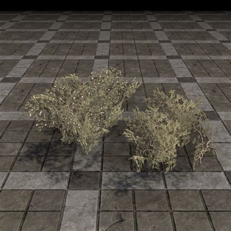 Online Shrubs Speckled Forest Cluster Uesp Wiki The Unofficial Elder Scrolls Pages