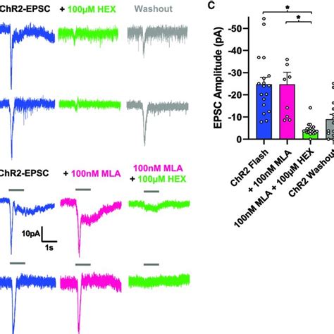 A Summary Of Chr2 Evoked Epscs In Bipolar Cells A 13 Types Of Mouse Download Scientific