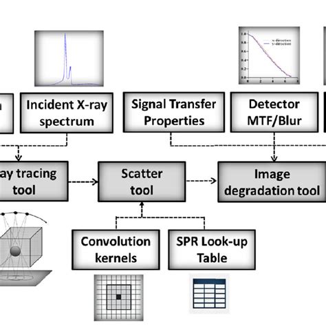 Steps Involved In Generating Image Data For The Tis Methodology Download Scientific Diagram
