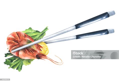 삶은 새우 젓가락으로 레몬 수채화 그림입니다 Shrimp 컬렉션의 흰색 배경에 구성 포장 메뉴 요리법 주방 용품의 장식 및 디자인 가지 식물 부위에 대한 스톡 벡터 아트 및