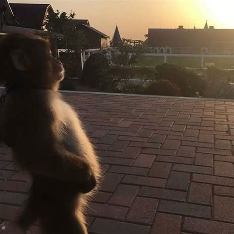 Xavier Zaykiing • Threads Say More Xavier Zaykiing • Threads Say More