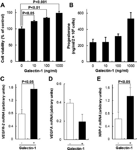 Effects Of Saccharides On The Expression Of Galectin 1 And Viability In