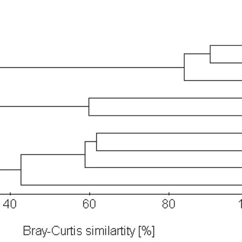 Hierarchical Cluster Diagram For Group Average Linking Based On