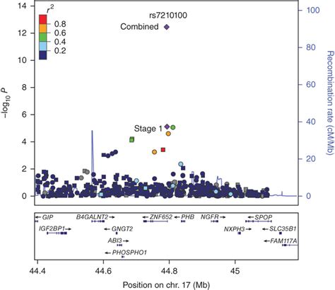 A Regional Plot Of The Log P Values For Genotyped Squares And Download Scientific Diagram