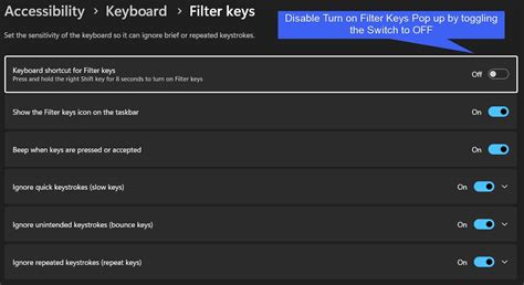 What Are Filter Keys On Windows 11