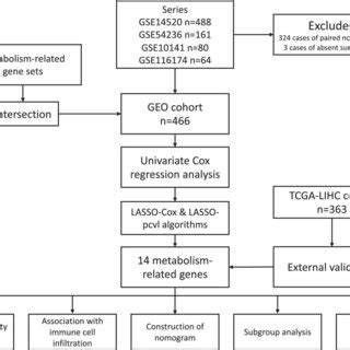 Flow Diagram Of Construction And Validation For The Metabolismrelated Download Scientific