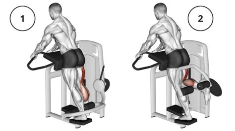Let Your Back Legs On Fire With Leg Curl Movement Fitness Magazine
