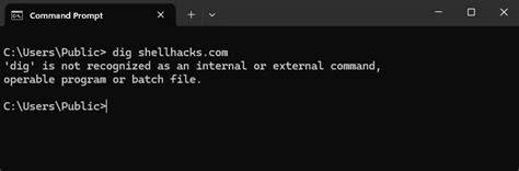 The Best Windows Dig Equivalent For Dns Queries Shellhacks