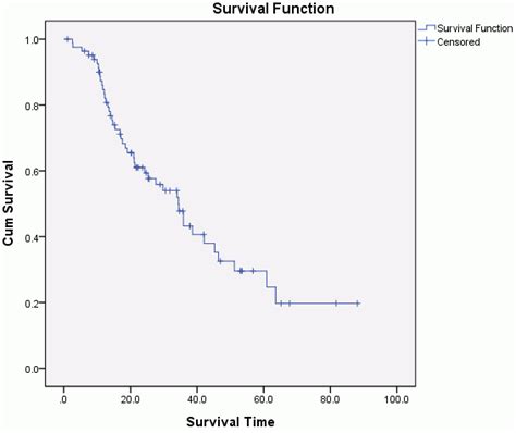 Cbgstat 의학통계 논문통계 Spss Medcalc R Excel